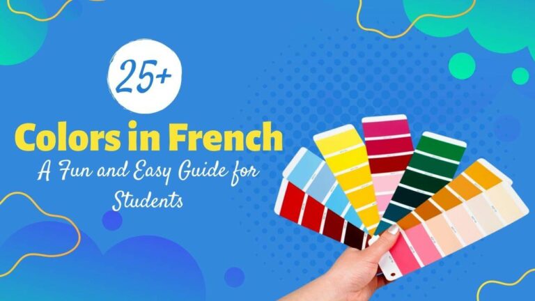 Learn Color Vocabulary in French with Examples of Color Usage